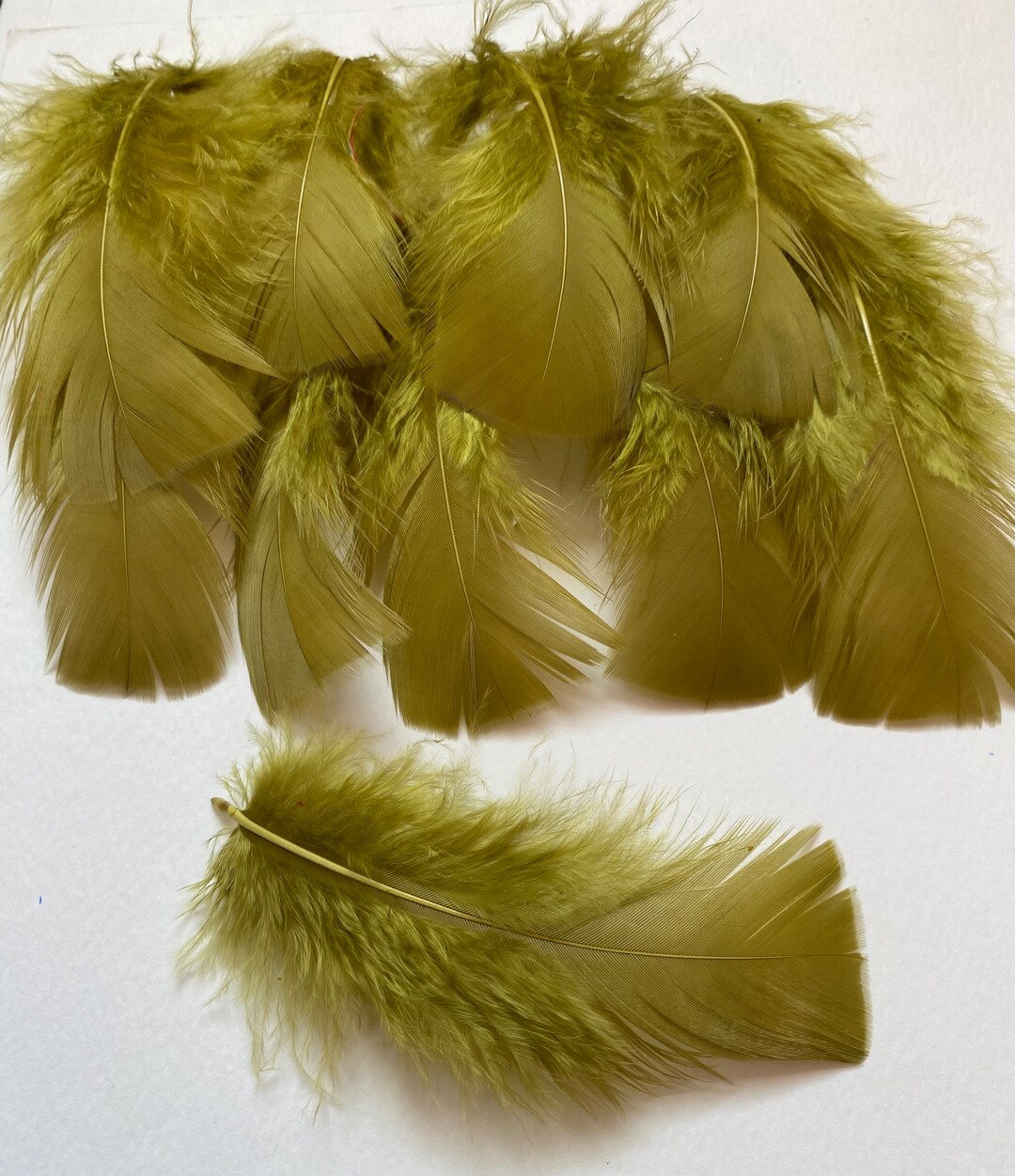 10 Turkey T-base Feathers - Olive - Etsy