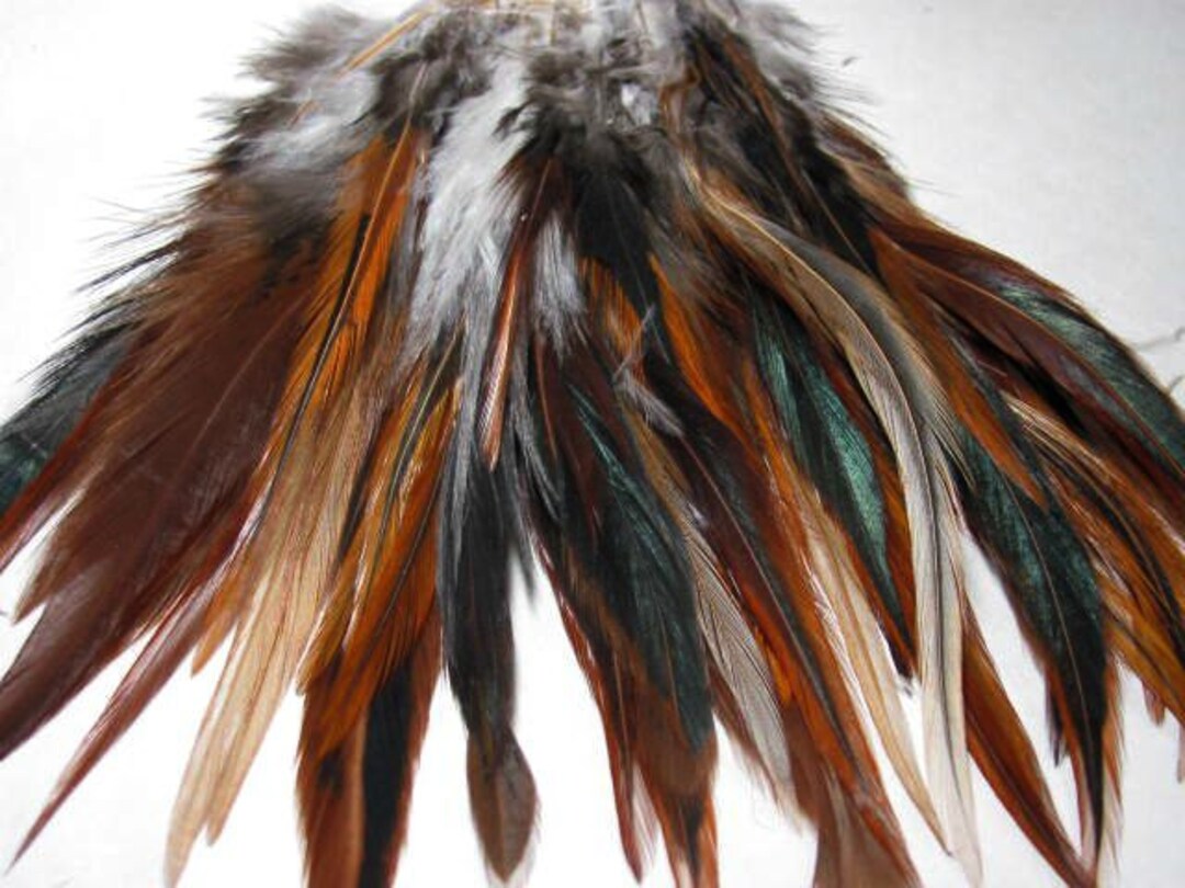 40 Loose Rooster Saddle Hackle Feathers - Furnace (5 - 8 Inches) - Etsy