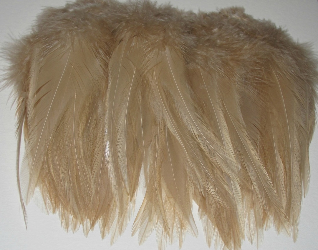 40 Strung Rooster Saddle Hackle Feathers - Tan (5 - 8 Inches) - Etsy