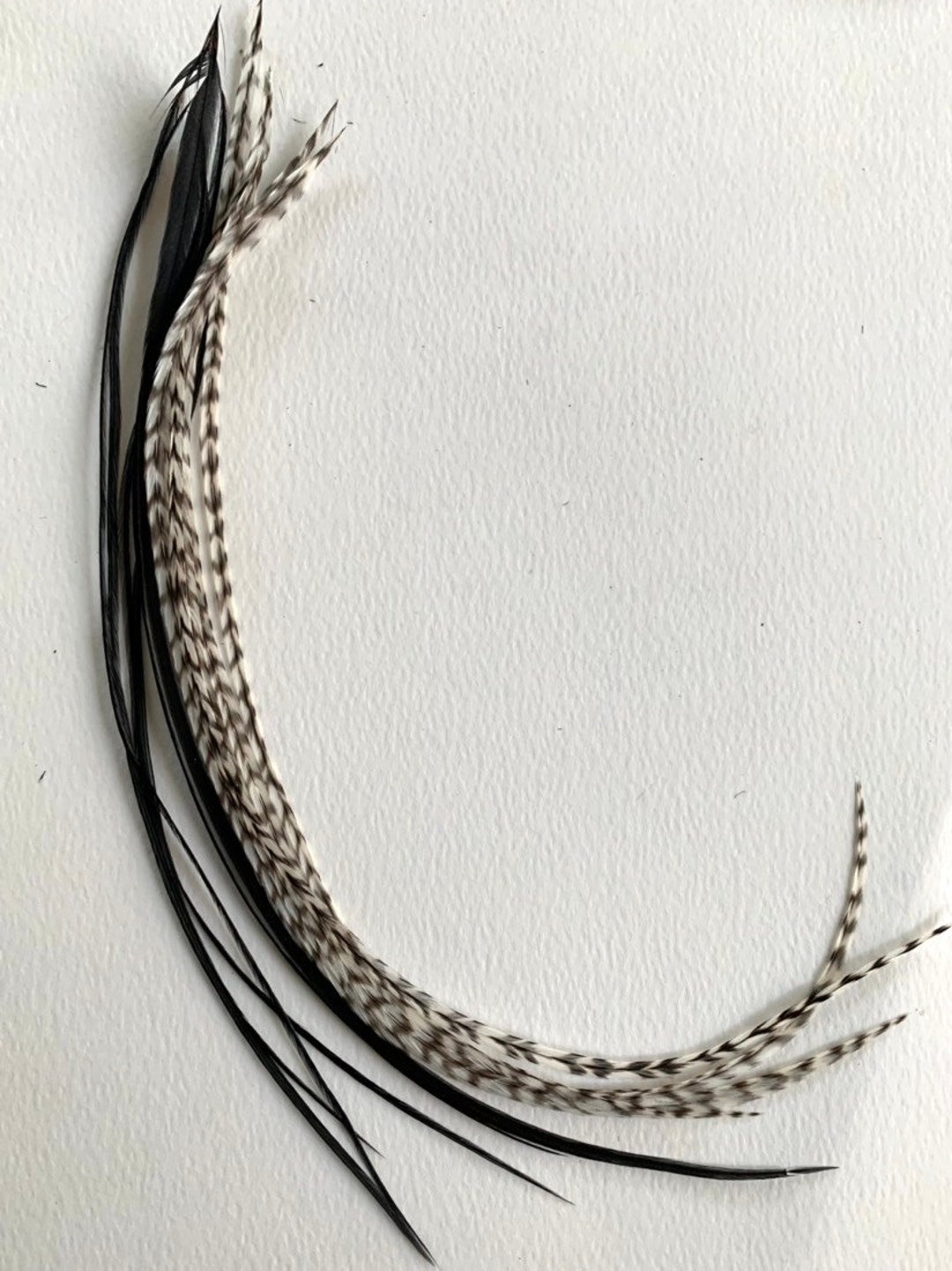 Long Rooster Saddle Hackles - 6 Black and 6 Grizzly (8 - 10 Inches) - Etsy