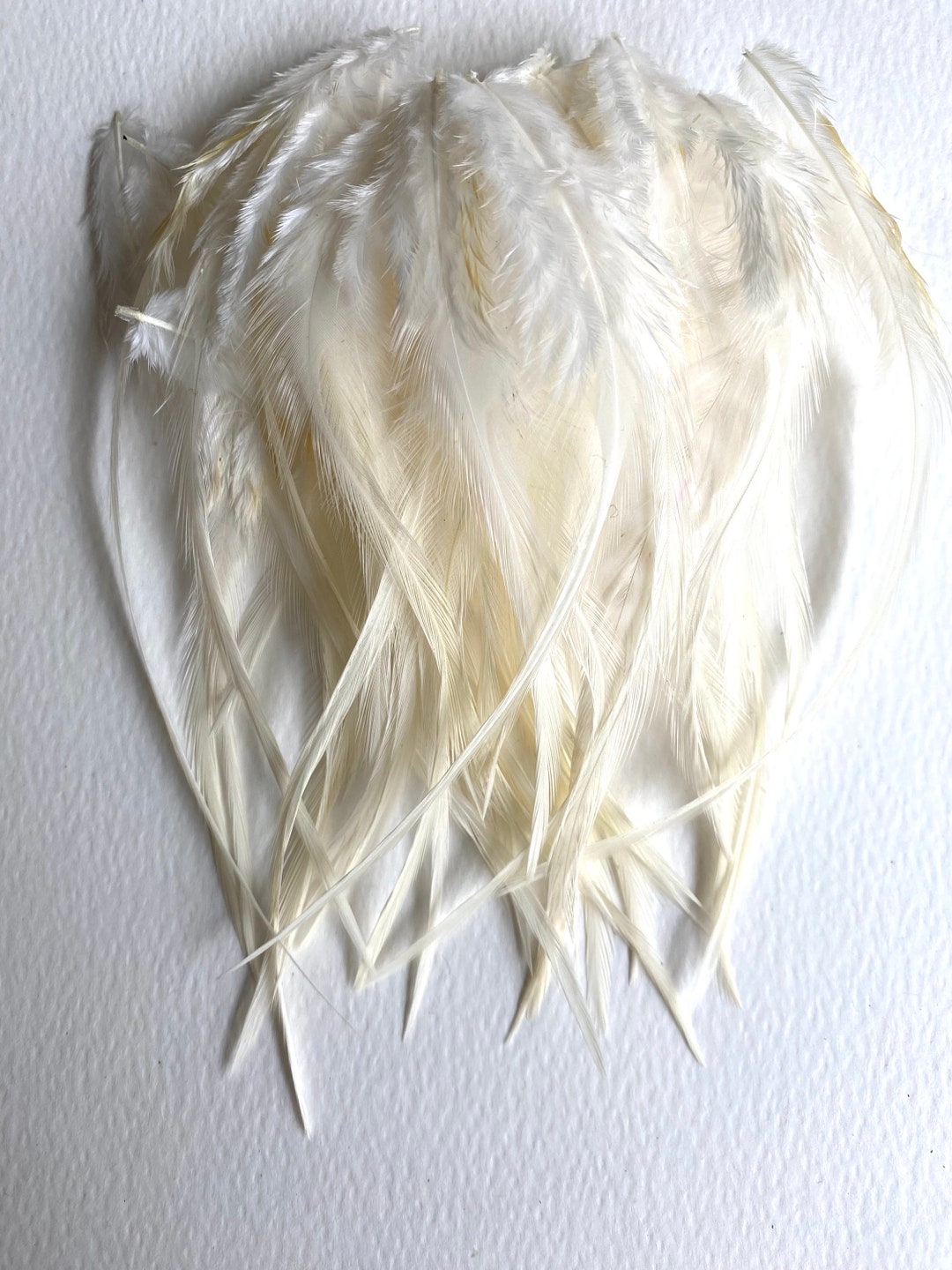 50 Fluff Rooster Saddle Hackle Feathers - Cream (3 - 5 Inches) - Etsy