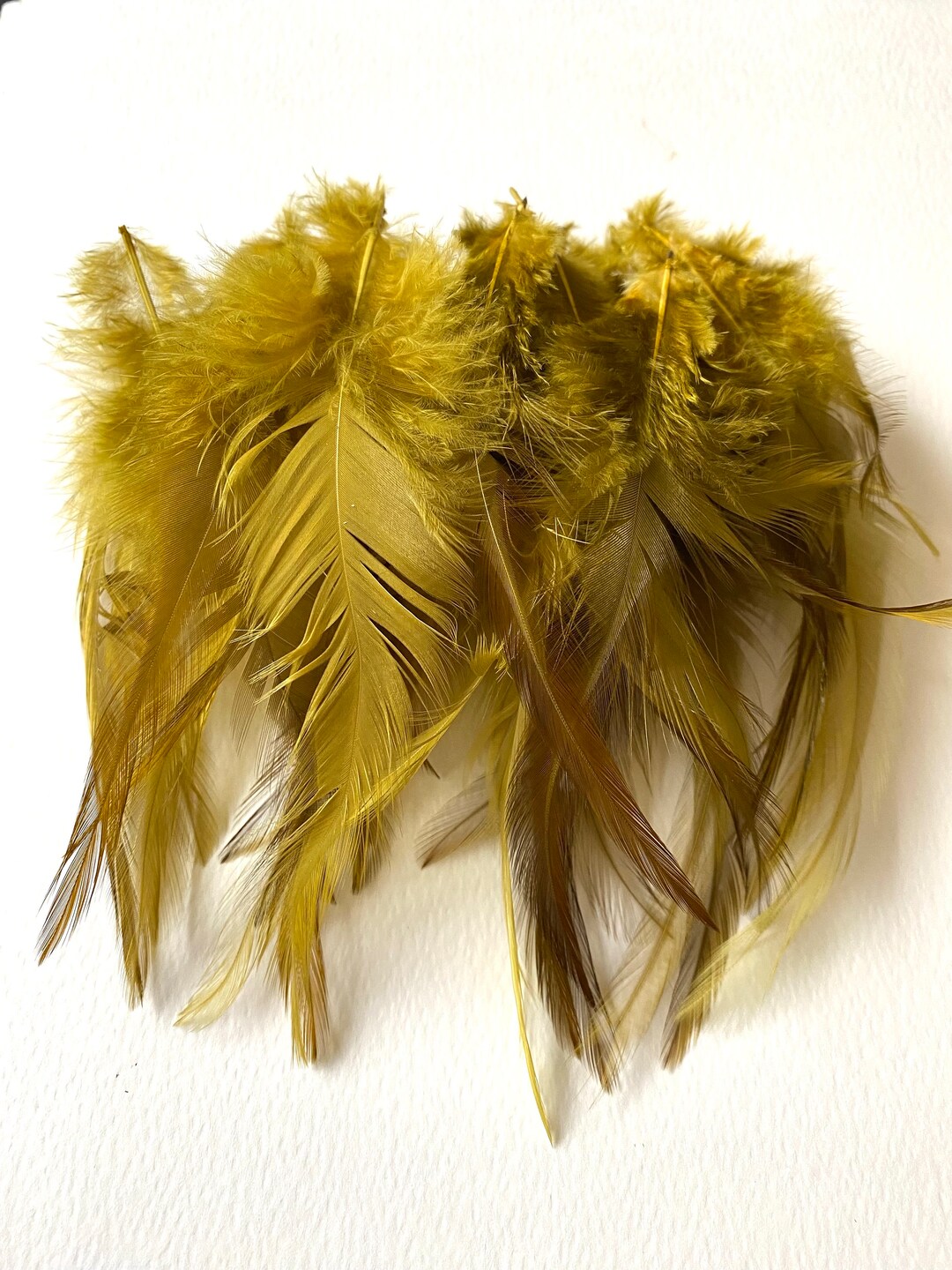 50 Fluff Rooster Saddle Hackle Feathers - Olive (3 - 5 Inches) - Etsy