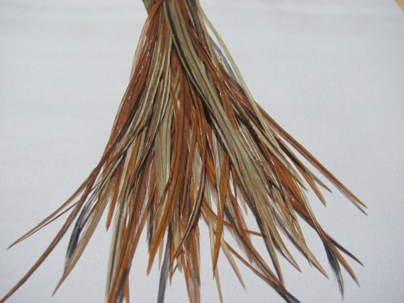 100 Rooster Saddle Hackle Feathers Furnace 6 7 Inches. | Etsy