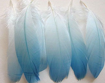 Light Blue Feathers | Etsy