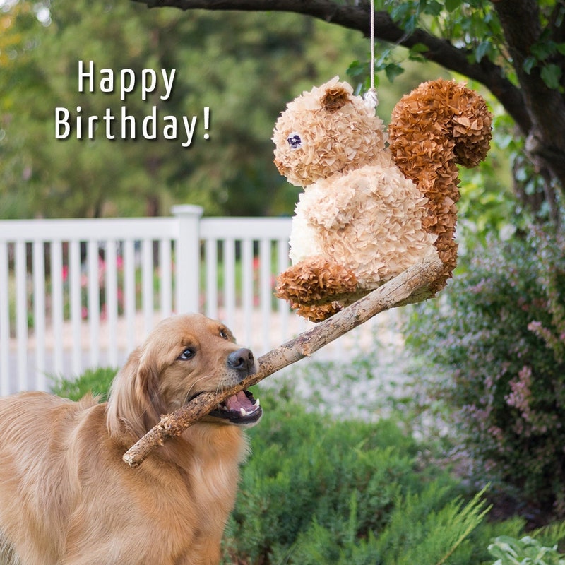 Dog Pinata - Etsy