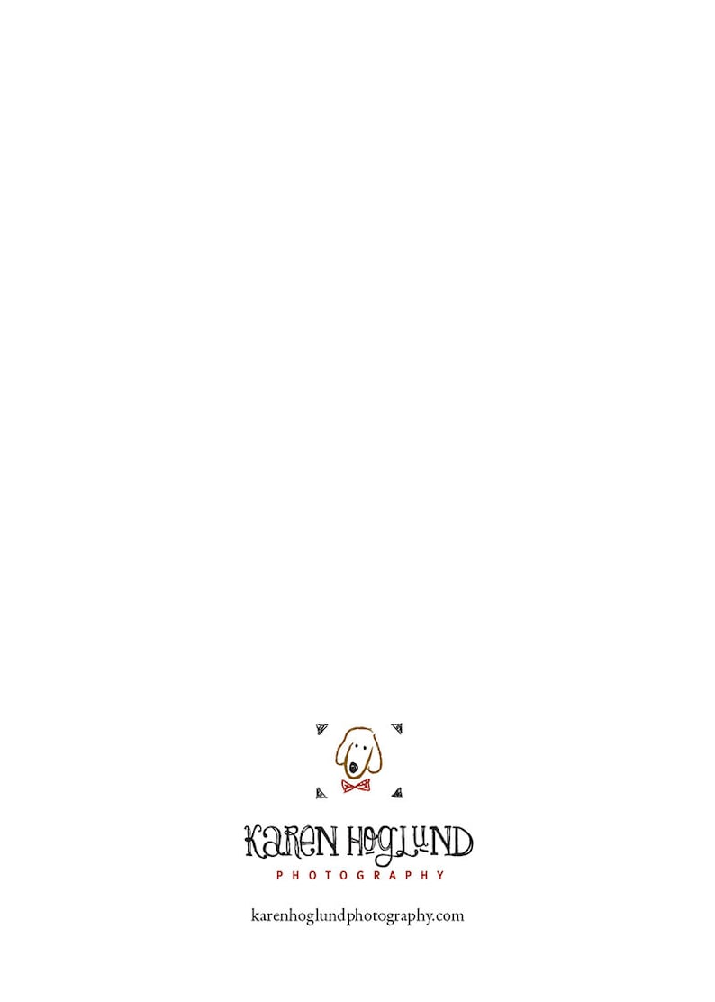 Squirrel Piñata Birthday Cards Set of 3 Cards - Etsy