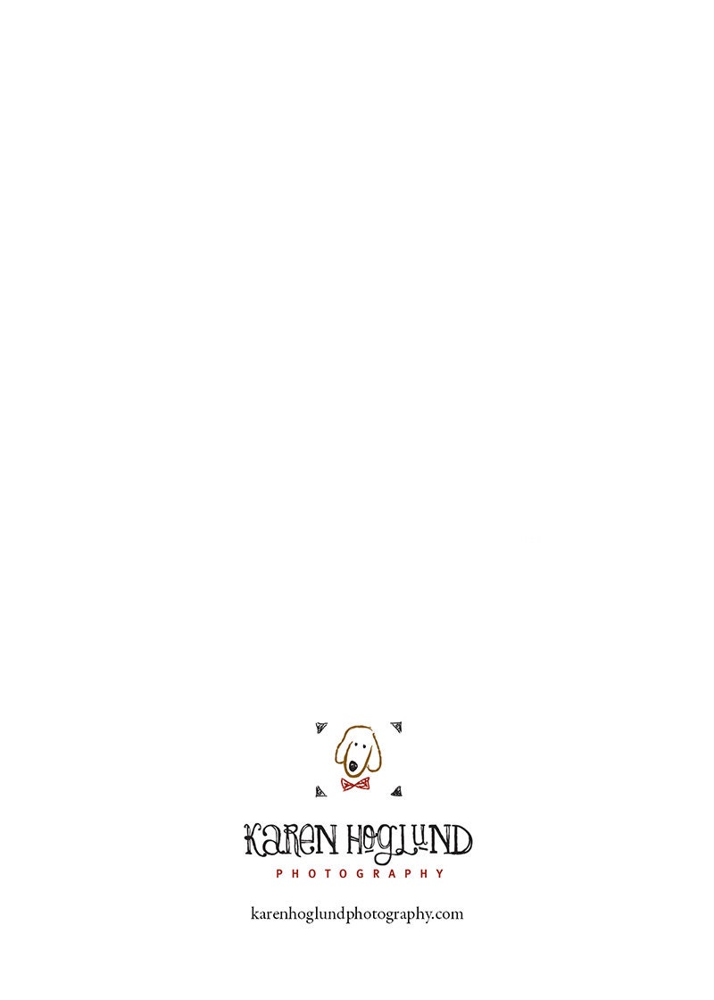 Squirrel Piñata Birthday Cards Set of 3 Cards - Etsy