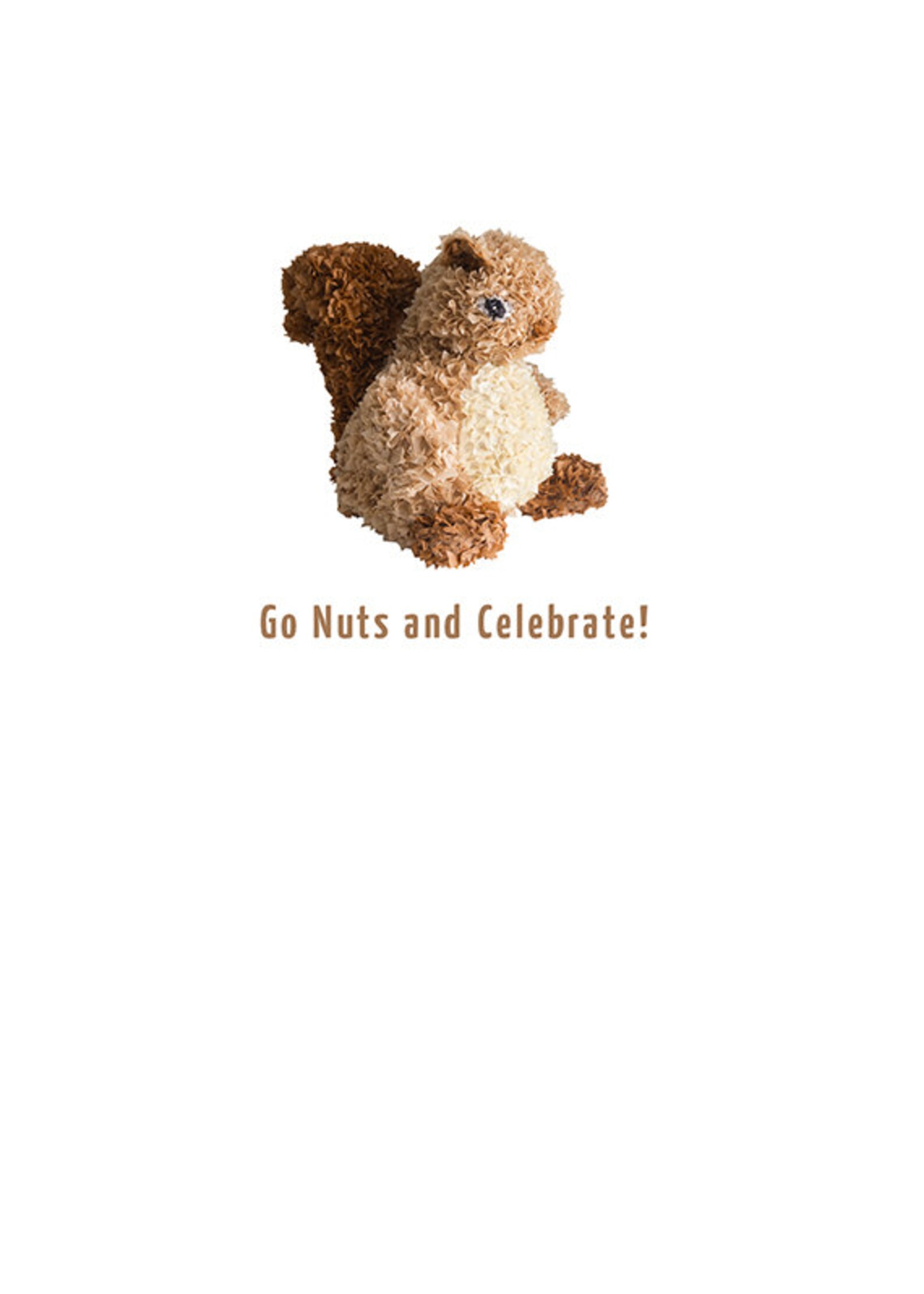 Squirrel Piñata Birthday Cards Set of 3 Cards - Etsy