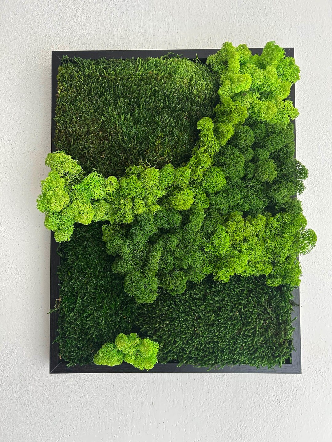 Handmade Moss Wall Art – Preserved Moss Picture – Natural Wall Decor ...