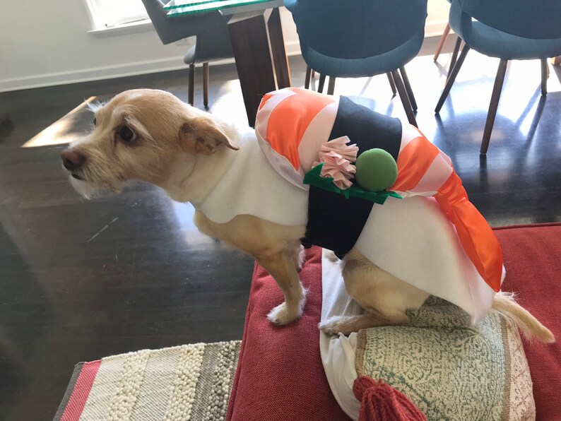 Shrimp Sushi Costume for Dog Cat Pets Animals - Etsy Sweden