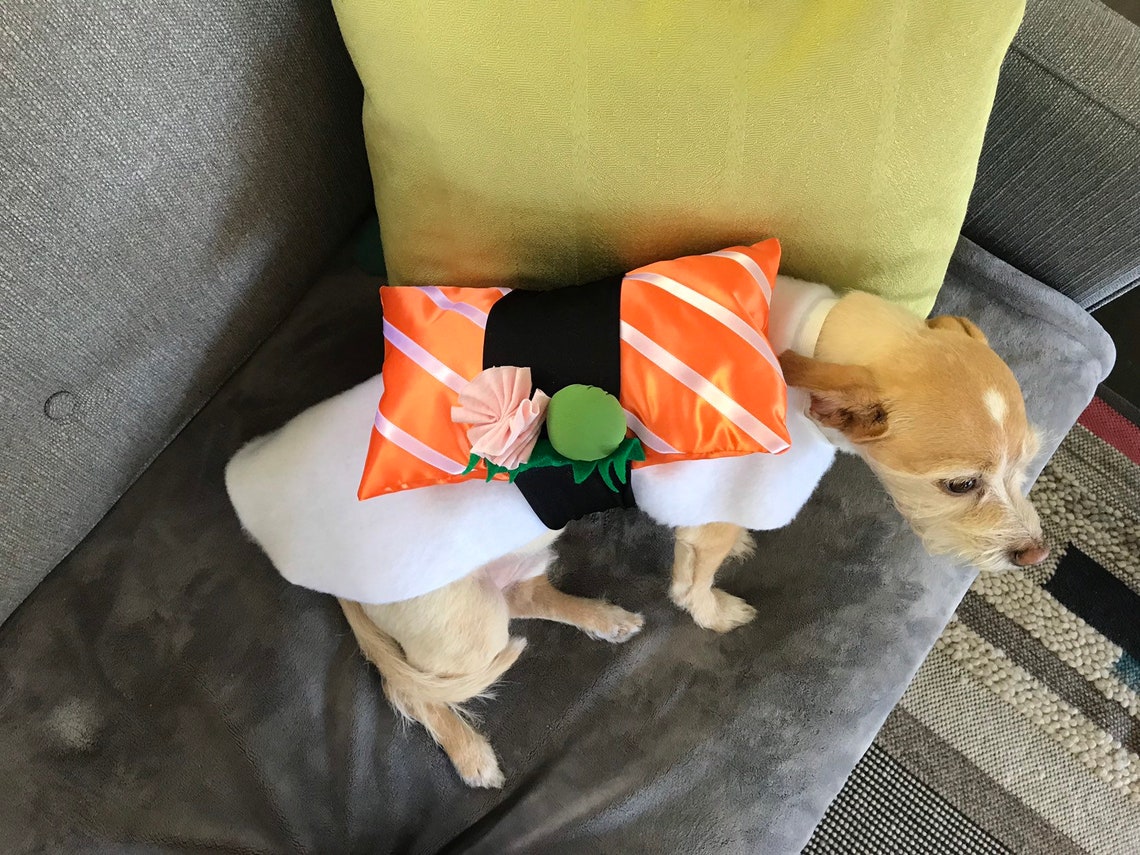 Salmon Sushi Costume for Dog Cat Pets Animals | Etsy