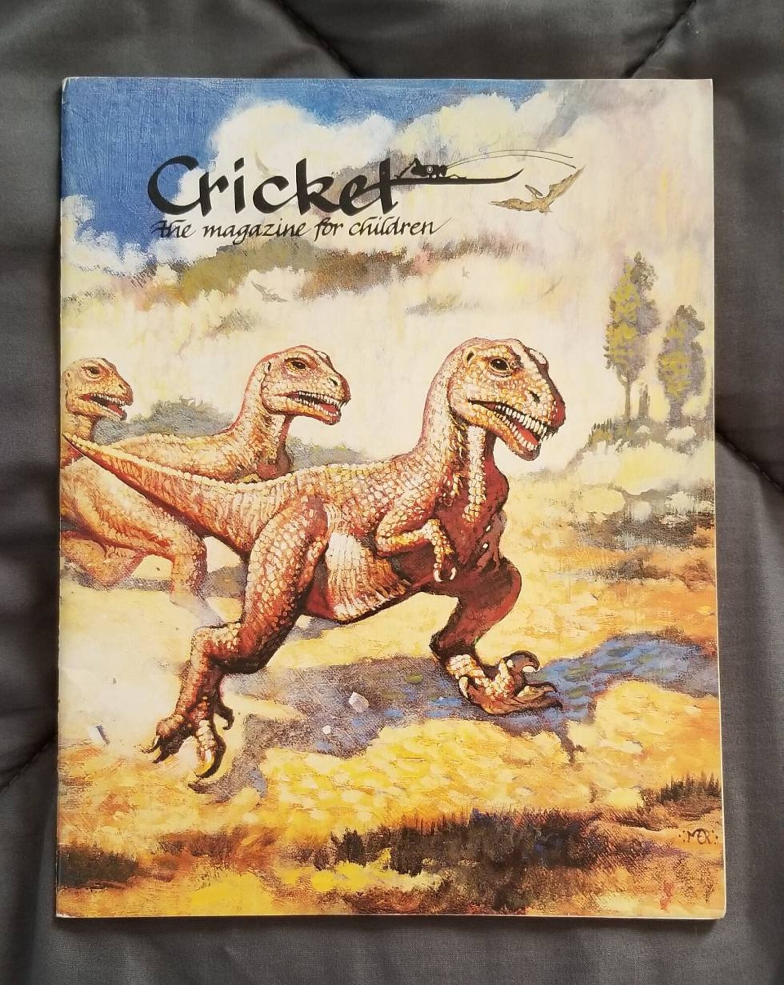 Vintage Cricket Children's Magazine 1991 Choose You Issues - Etsy