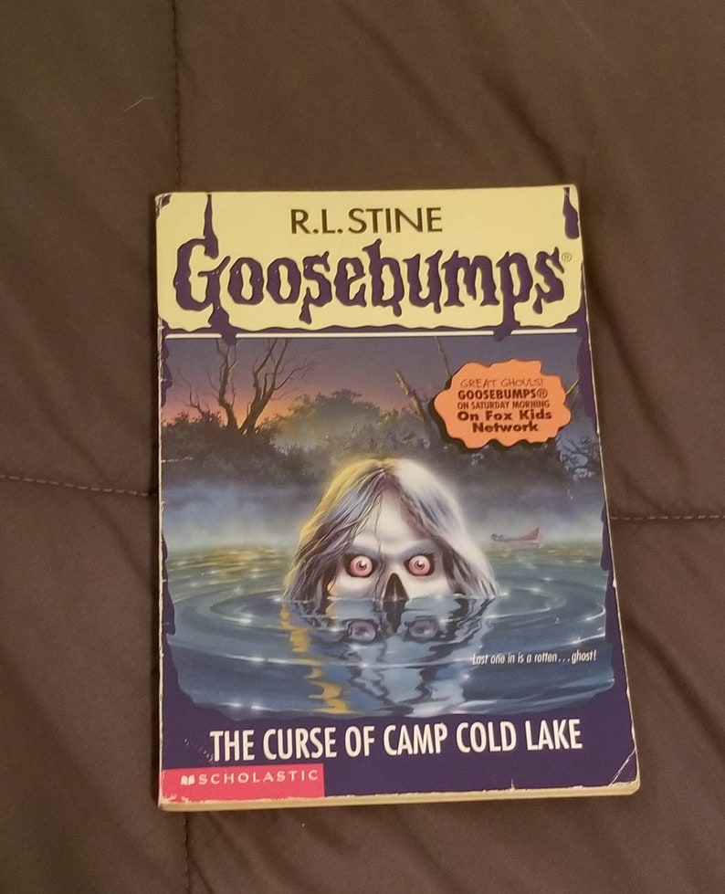 Vintage RL Stine Goosebumps Horrorland Ghosts of Fear Street - Etsy