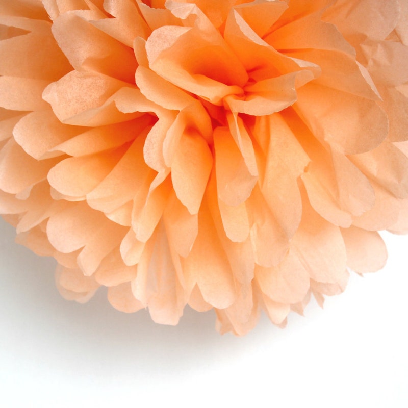 Peach Pom Pom - Etsy