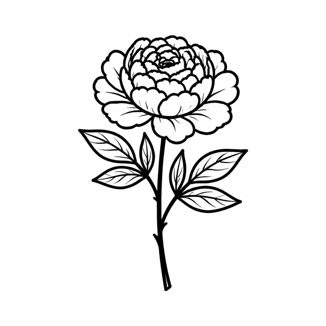 Peony Flower SVG PNG Cut File, Cricut Design Digital - Etsy