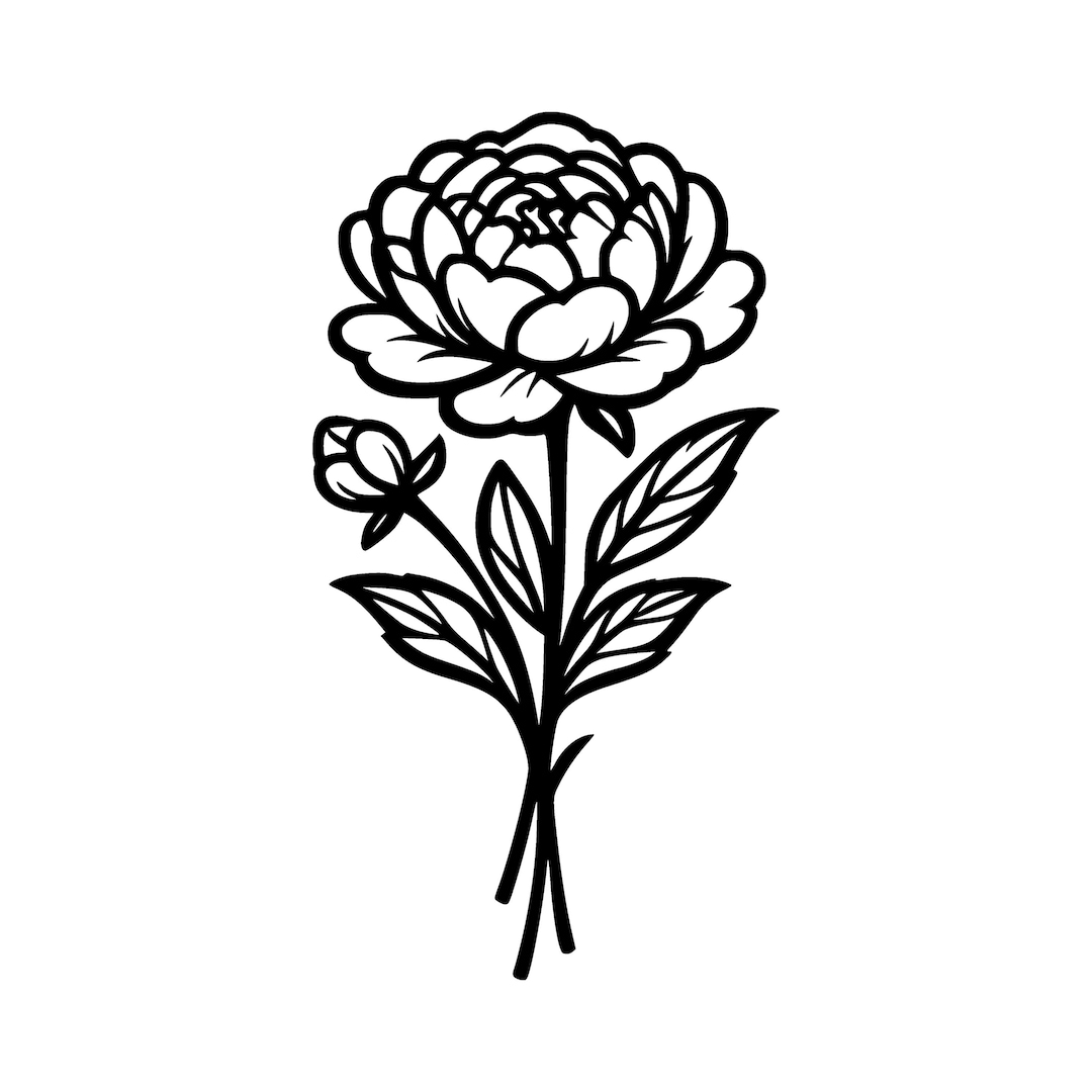 Peony Flower SVG PNG Cut File, Cricut Design Digital - Etsy