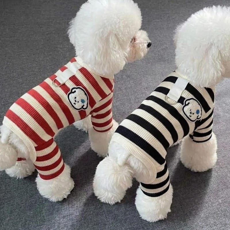 Small Dog Onesie - Etsy