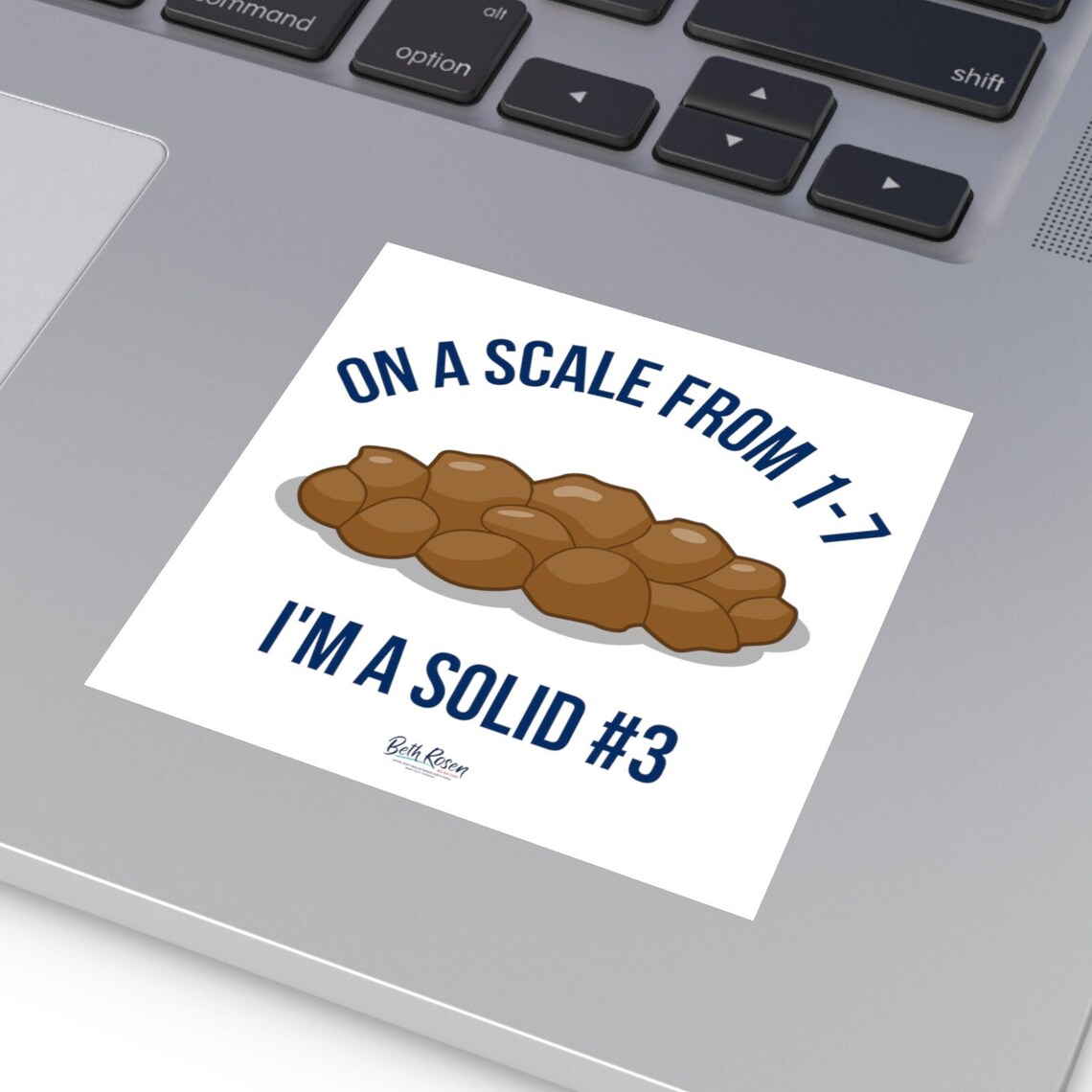 Bristol Stool Chart Solid 3 Square Vinyl Stickers Funny Sticker,poop ...