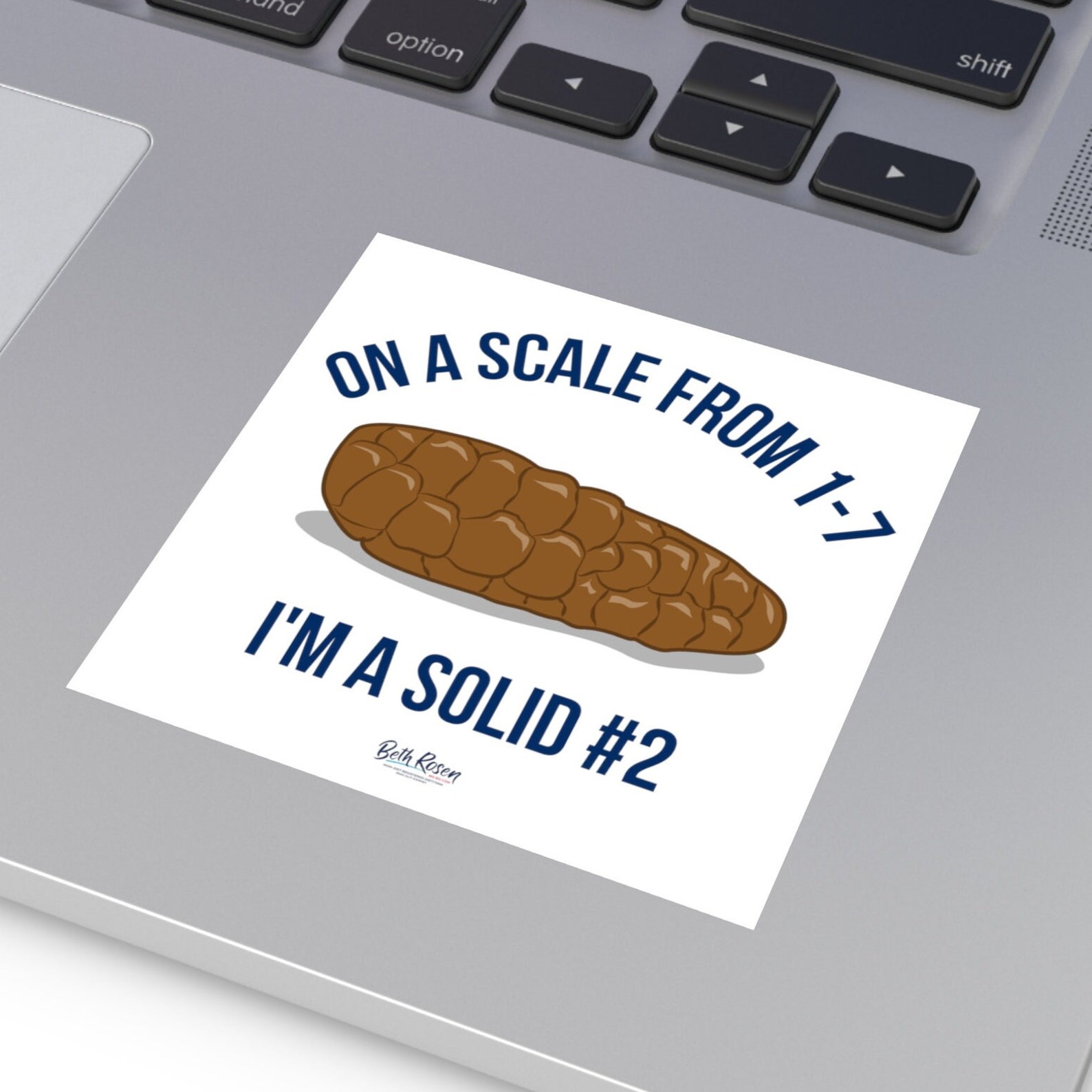 Bristol Stool Chart Solid #2 Square Vinyl Stickers |funny Sticker,poop ...