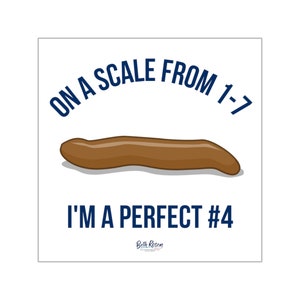 Bristol Stool Chart Perfect #4 Square Vinyl Stickers |funny Sticker ...