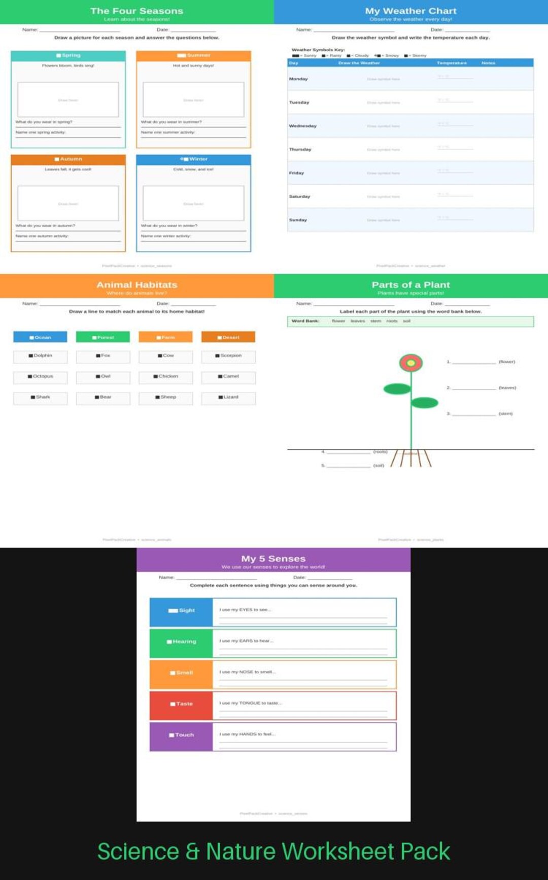 Science Nature Worksheets Grade 1 Seasons Weather Animals Plants Senses ...