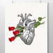 SKELETON and RED ROSES Anatomy Print, Poster Anatomical Art Prints ...