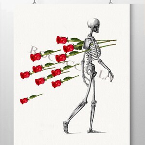 SKELETON and RED ROSES- Anatomy Print, Poster- Anatomical Art Prints ...