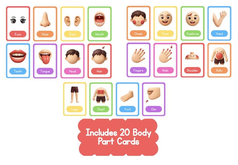 Body Parts Flashcards Printable | Toddler Learning Cards | Preschool ...