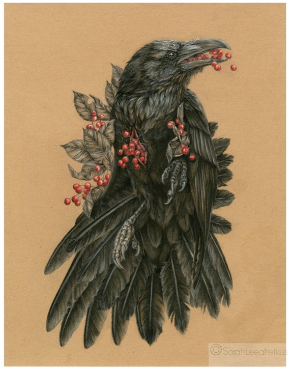 Norse Raven Mythology Hugin And Munin Norse Odin Ravens/Crows With