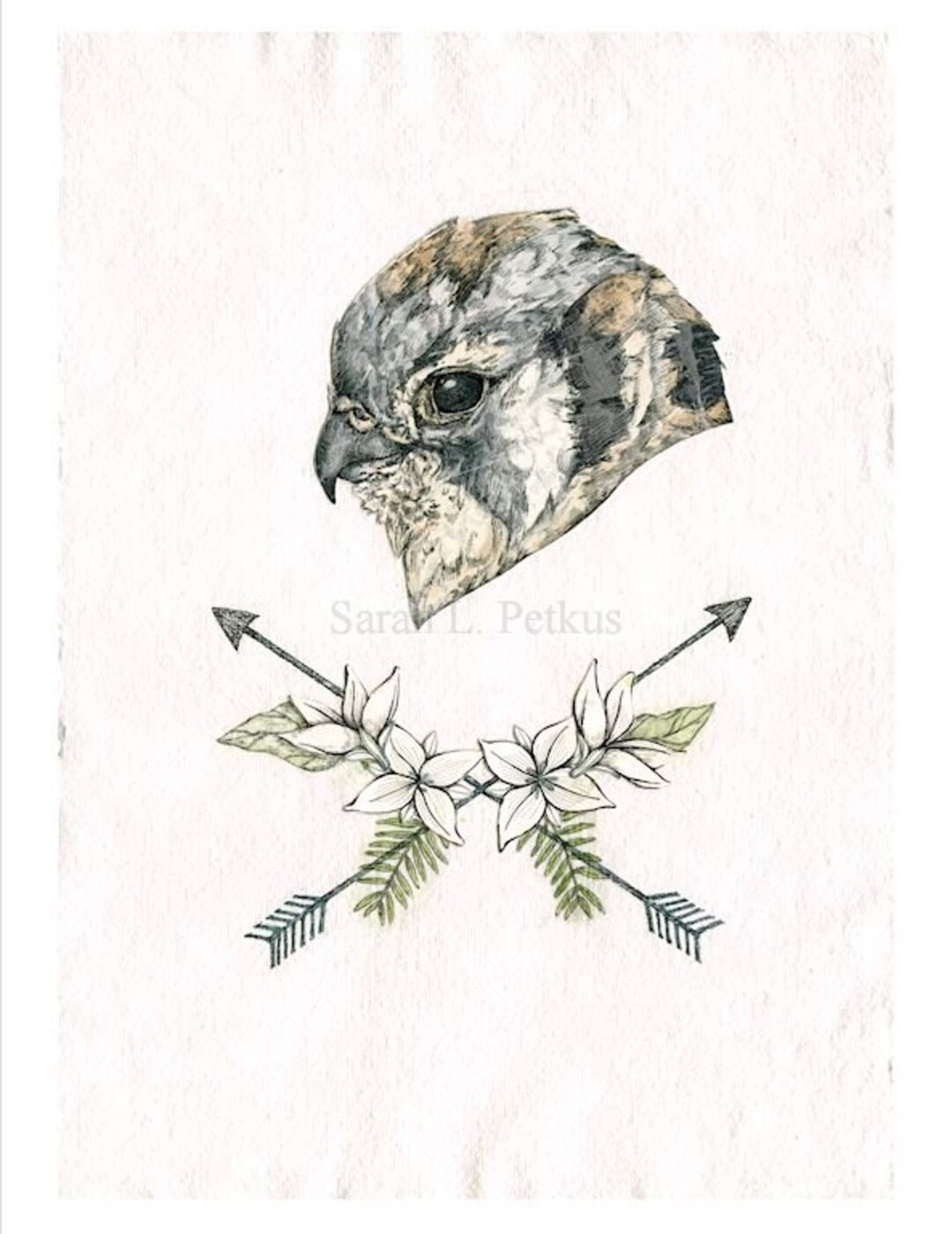 Hawk Arrows Art Print - 8 X 10 Inch Bird Art Reproduction - Etsy