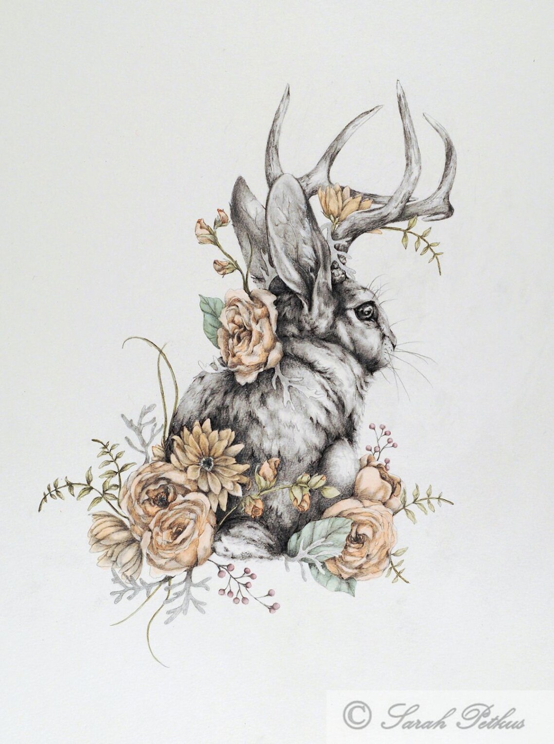 Jackalope - 11 X 14 Floral Jackalope Rabbit Art Print - Nursery Decor ...