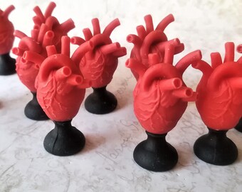 Heart on Pedestal Miniature Miniature human Heart on | Etsy