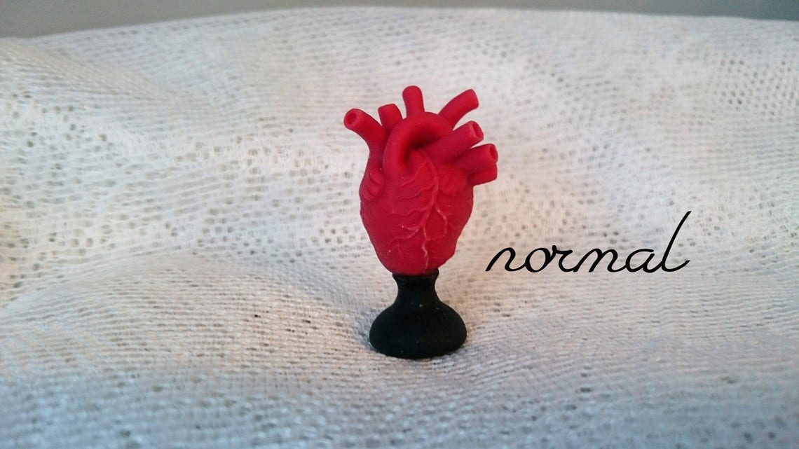 Heart on Pedestal Miniature Miniature Human Heart on - Etsy