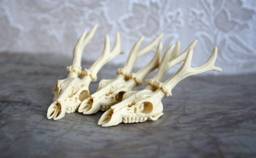 Ivory Deer Skull Cameo: Resin Antler Cabochons - 3 PCS - Etsy