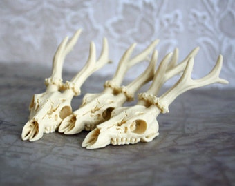 Schedel | Etsy Nederland