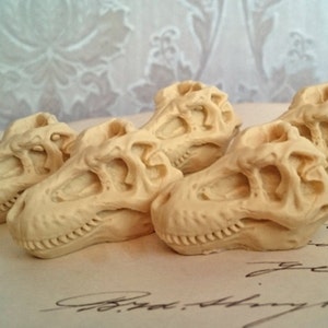 5 T-rex Tyrannosaurus Dinosaur Skull Cabs Resin Cabochon Taxidermy ...