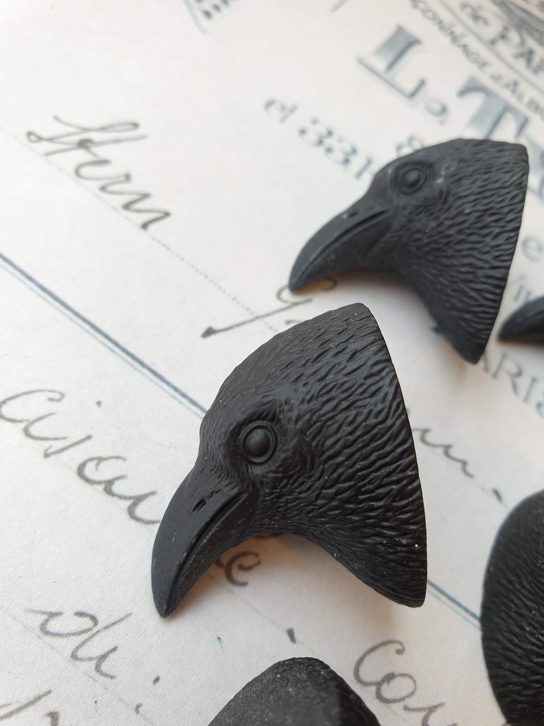 Black Raven Head Resin Cabochons, Taxidermy Animal Style (5 Pieces) - Etsy