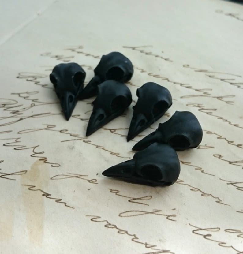 Black Raven Skull Resin Cabochons, Gothic Taxidermy Style (6 PIECES) - Etsy