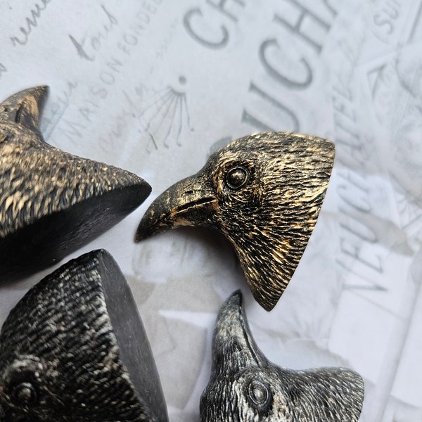 Raven Taxidermy - Etsy