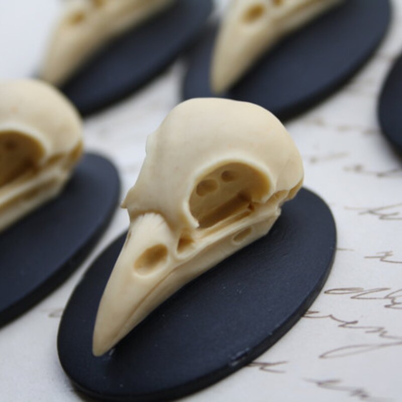 Ivory Cameo - Etsy