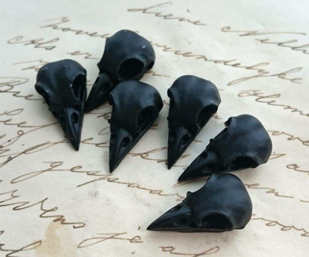 6 Bird Raven Crow Skull Cabs Resin Cabochon Taxidermy Animal Steampunk ...
