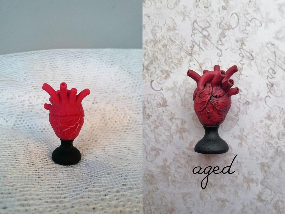 Heart on Pedestal Miniature Miniature Human Heart on - Etsy