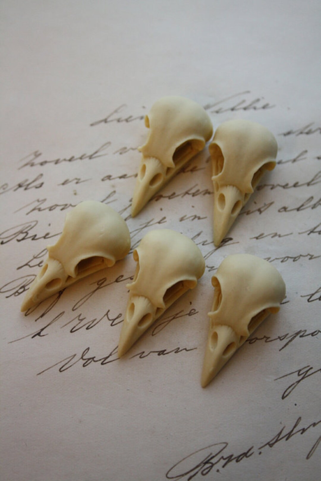 50 PIECES WHOLESALE Bird Skull Raven Skull Crow Resin - Lot 50 Pieces ...
