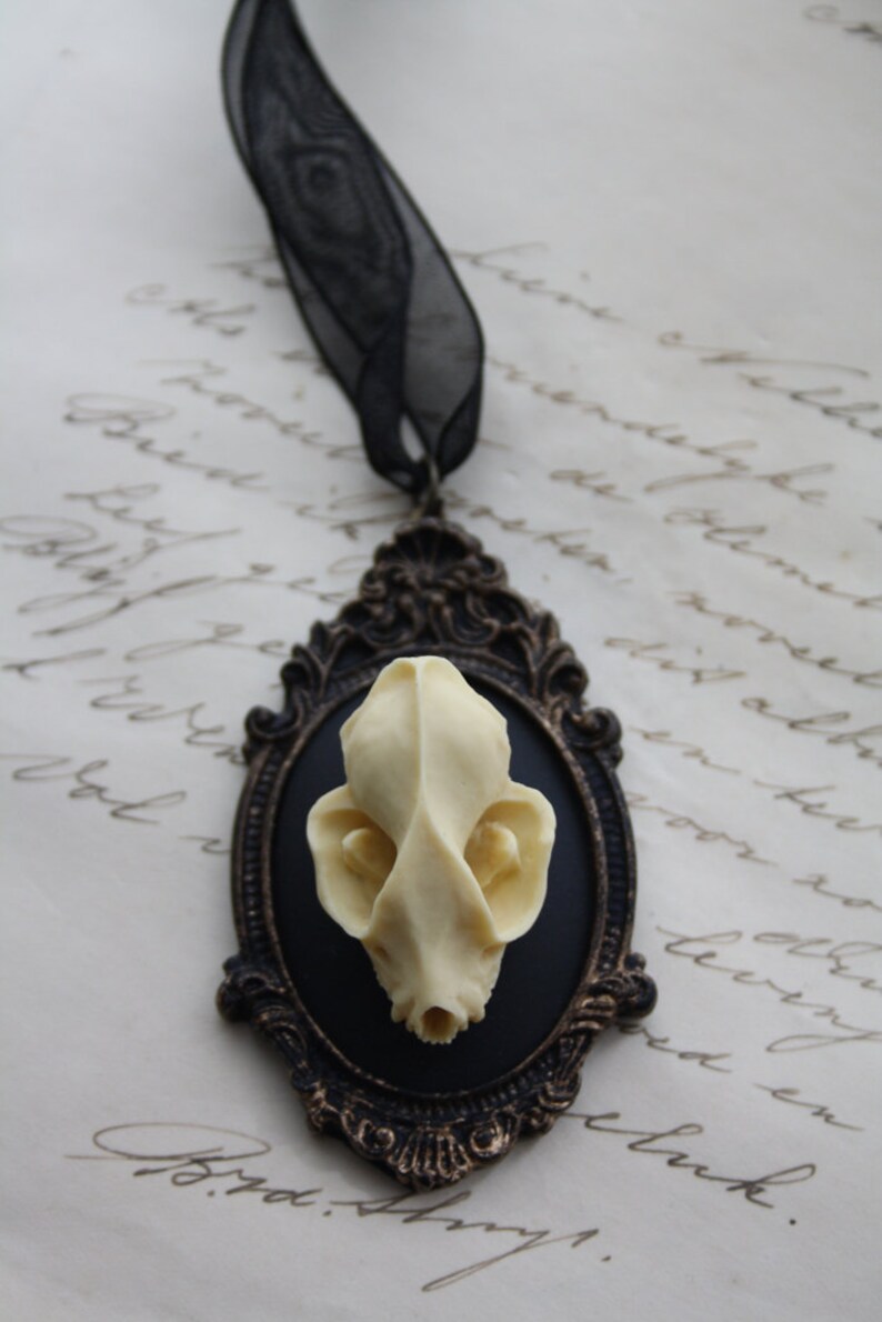 Bat Skull Cameo Cabs Resin Cabochon Taxidermy Animal Steampunk Gothic ...