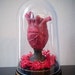 Heart on Pedestal Miniature Miniature Human Heart on Pedestal Made of ...