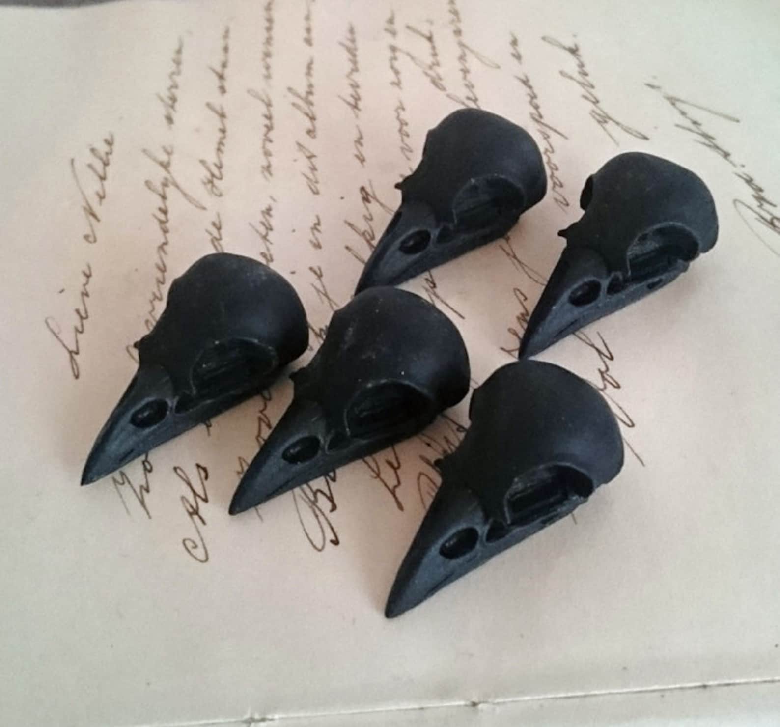 5 Bird Skull Raven Skull Crow Skull Cabs Resin Cabochon Taxidermy ...