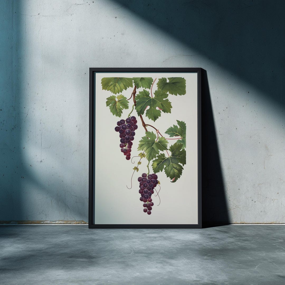 Grape Vine Print, Mediterranean Wall Art, Botanical Kitchen Decor, Wine ...