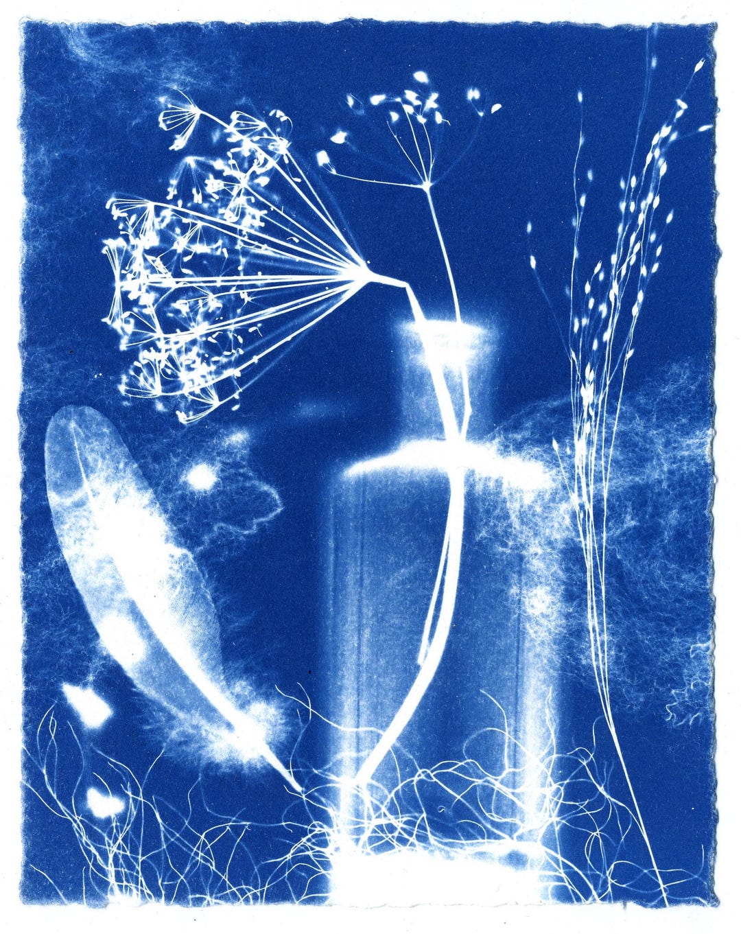 Cyanotype Handmade Original Photographic Print Called Floating Feather ...