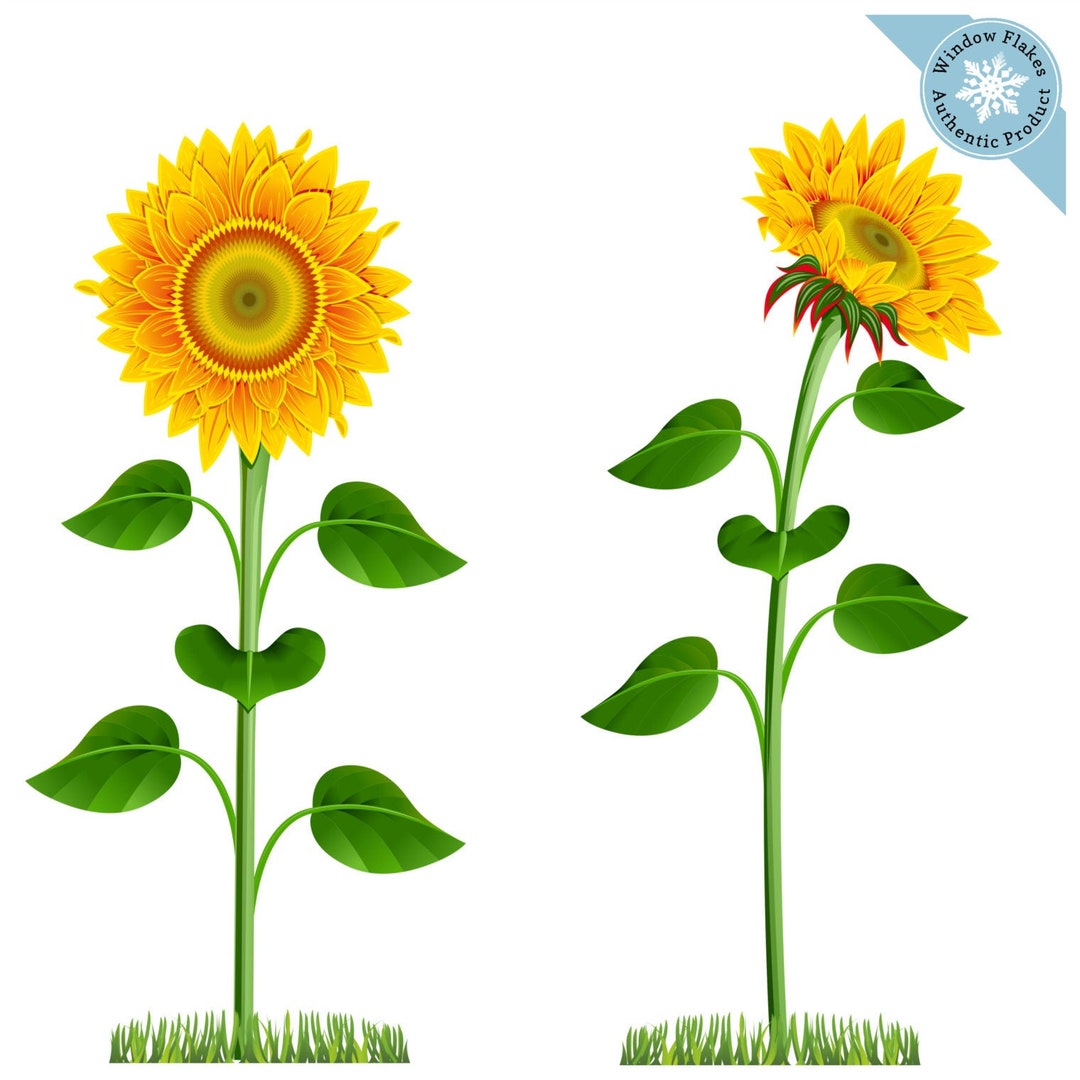 Beautiful Sunflower Window Clings - Removable Floral Window Decor - Two ...