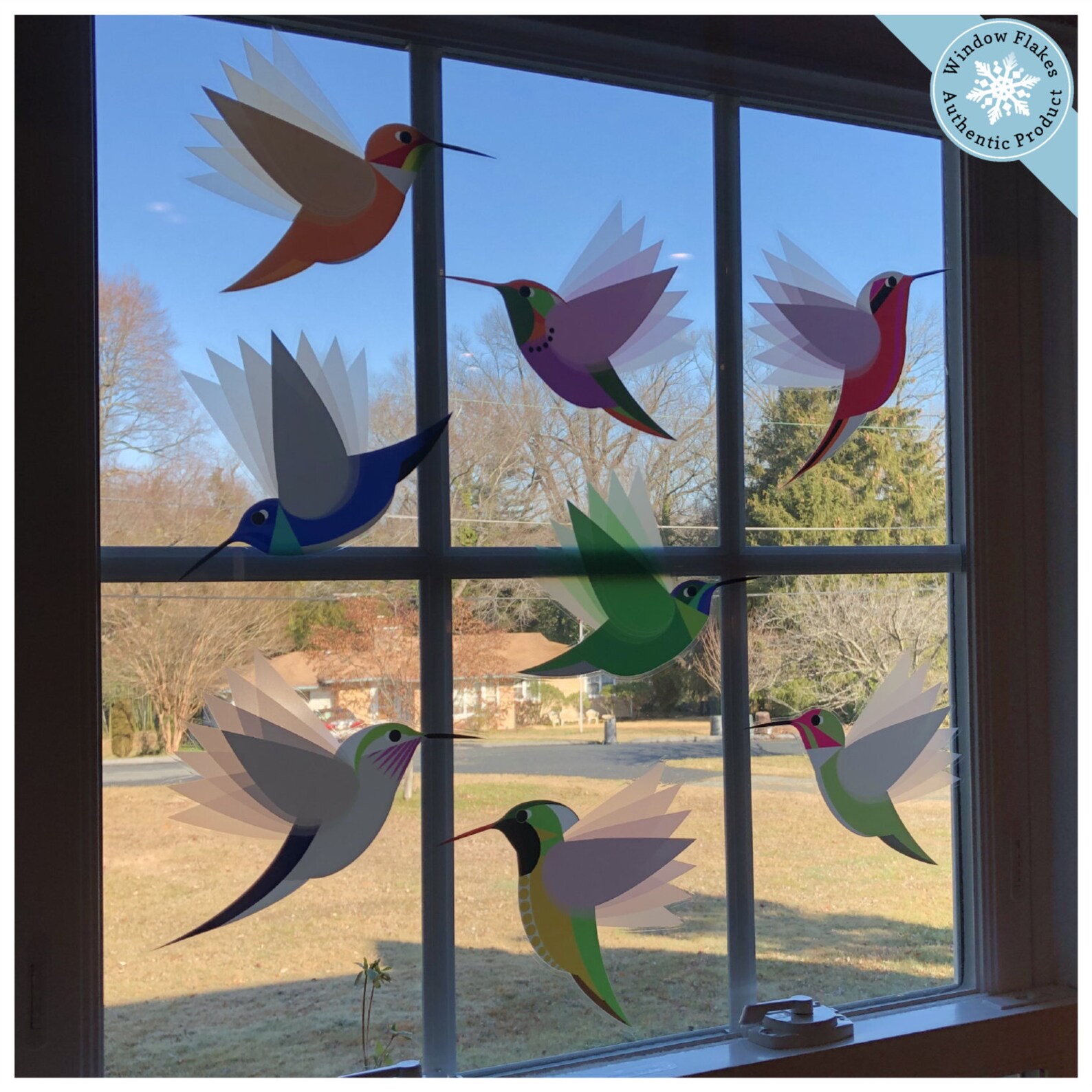 Illustrated Hummingbird Window Clings Set of 8 Spring - Etsy